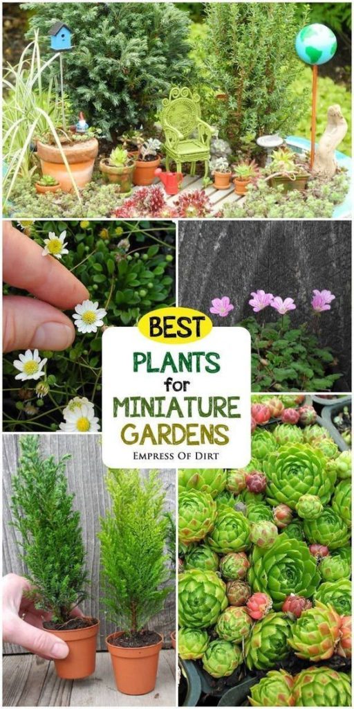 10 Great Decorate With Miniature For Cute Gardens 15